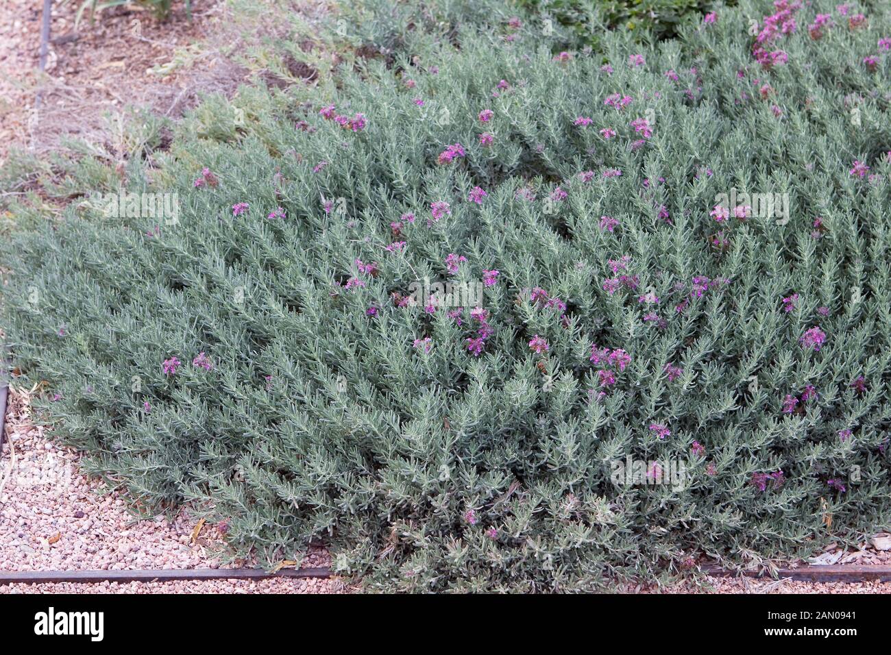 Majoricum hi-res stock photography and images - Alamy
