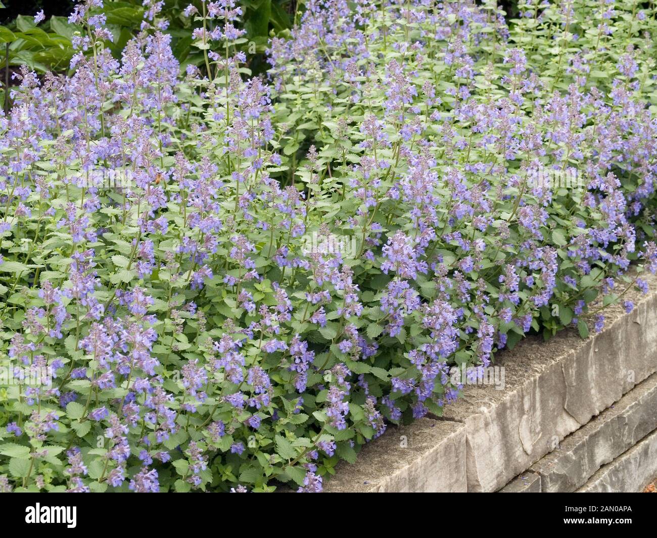 Dropmore hi-res stock photography and images - Alamy