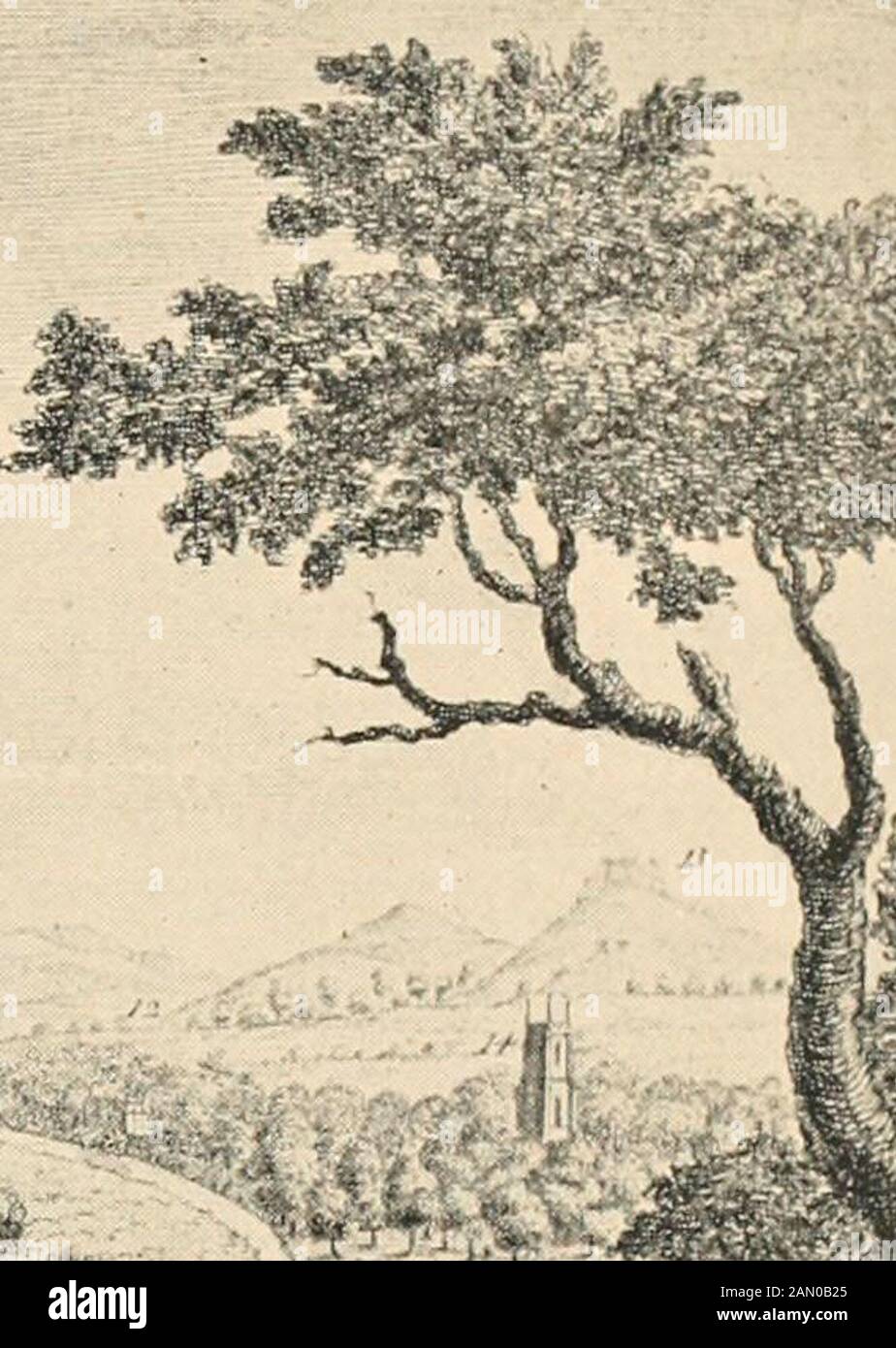 The history of the parish of Preston in Amounderness in the county of ...