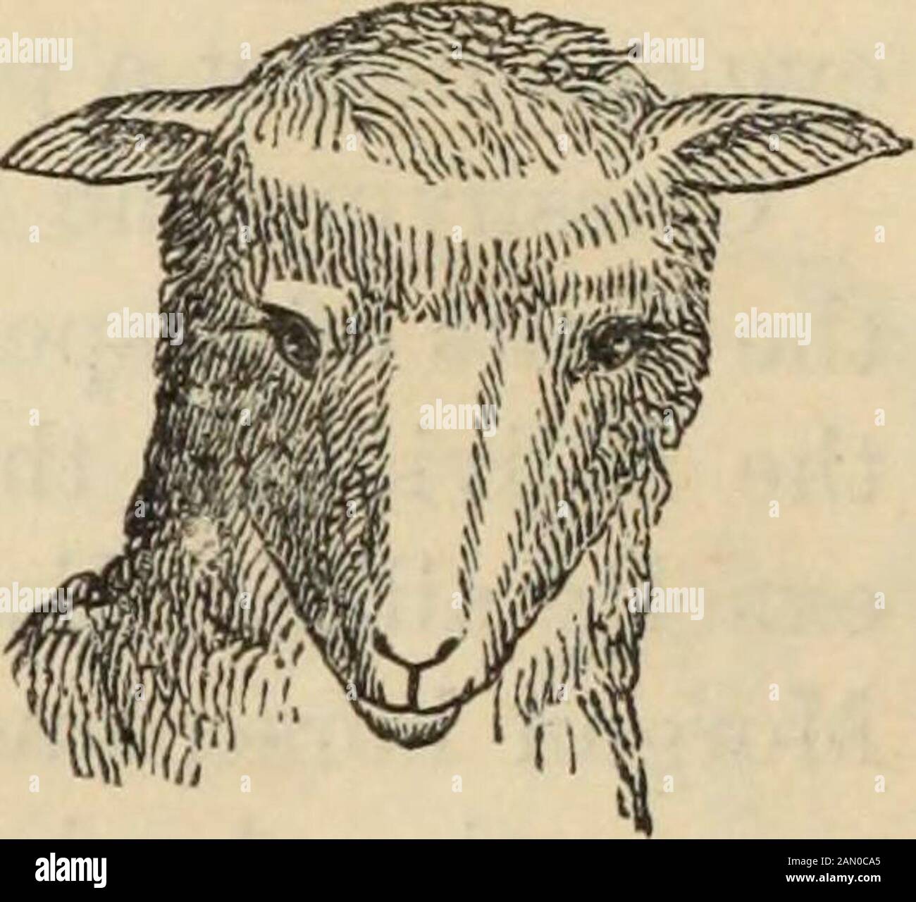 Grovel hi-res stock photography and images - Alamy