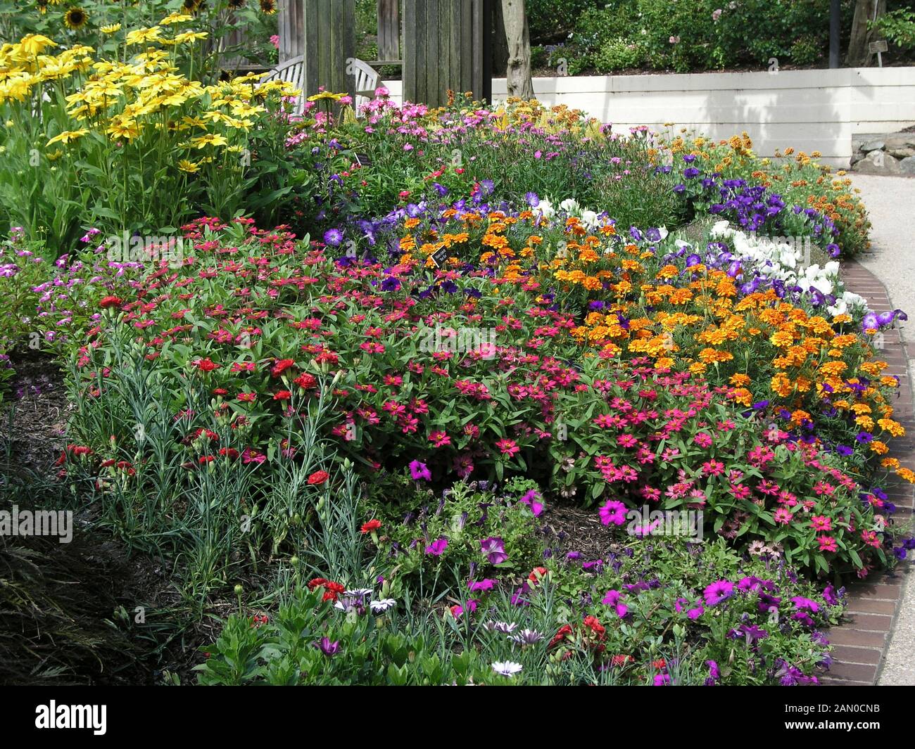 Border of annuals hi-res stock photography and images - Alamy