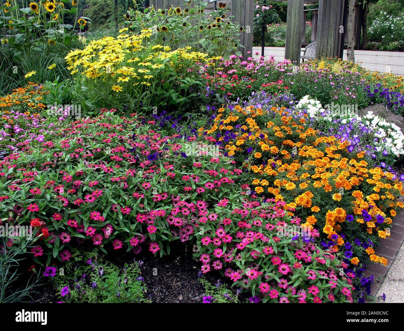 Border of annuals hi-res stock photography and images - Alamy