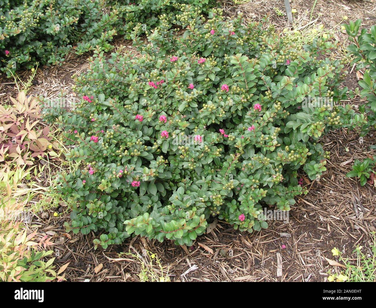 Pocomoke hi-res stock photography and images - Alamy