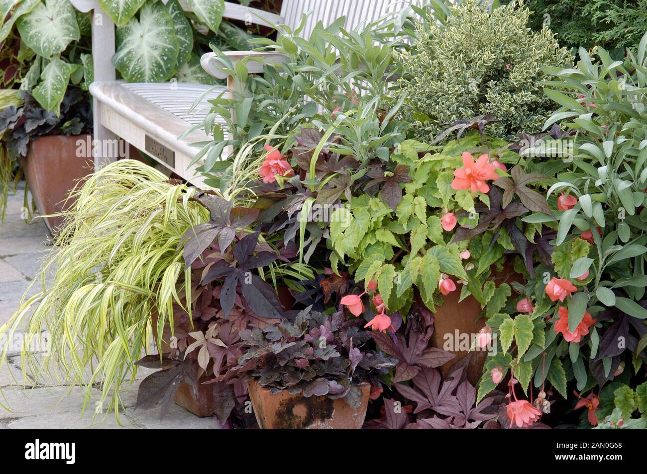 MIXED CONTAINER DISPLAY Stock Photo - Alamy