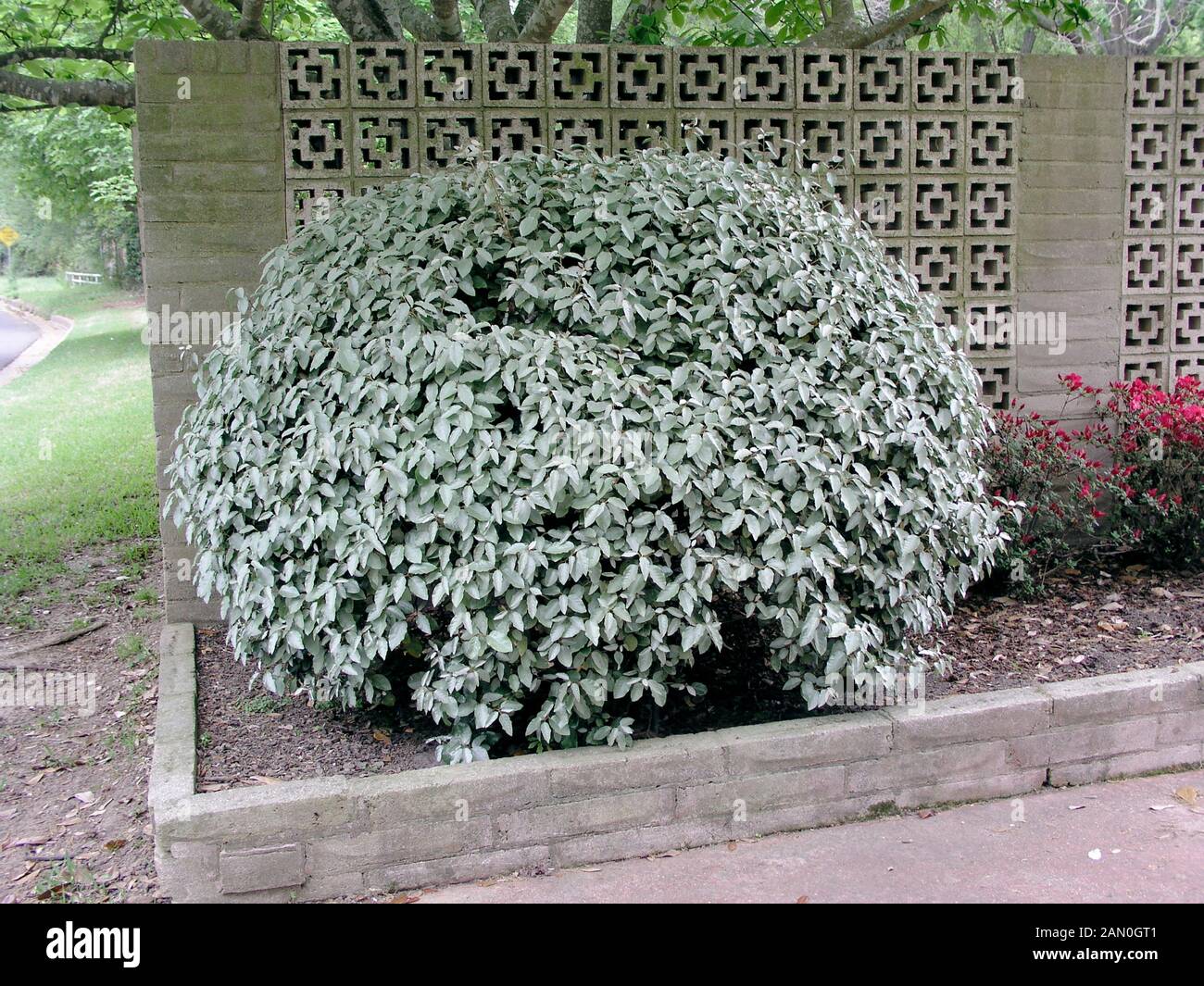 Fruitlandi hi-res stock photography and images - Alamy