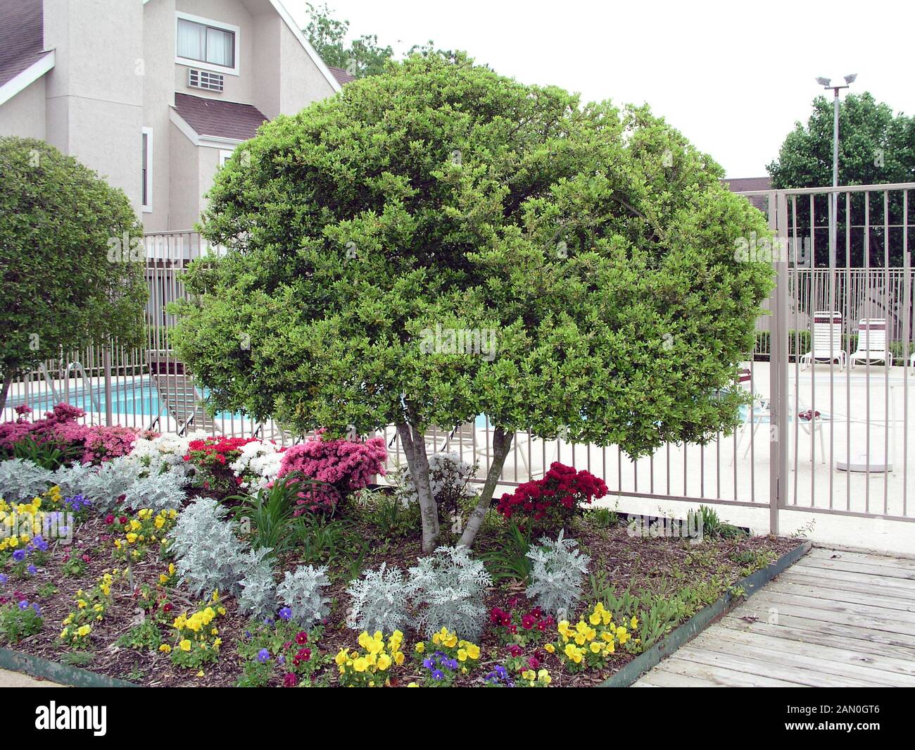 Vomitoria hi-res stock photography and images - Alamy