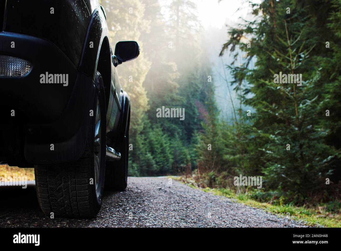 car driving on forest road and sun beams Stock Photo - Alamy