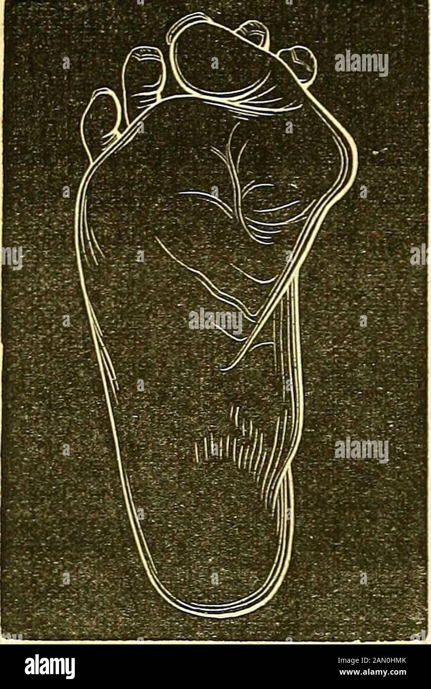 Boot and shoemakers hi-res stock photography and images - Alamy