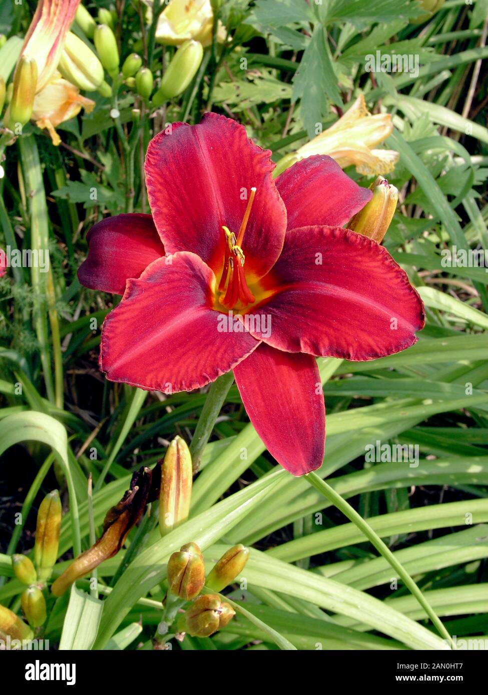 Apache border hi-res stock photography and images - Alamy