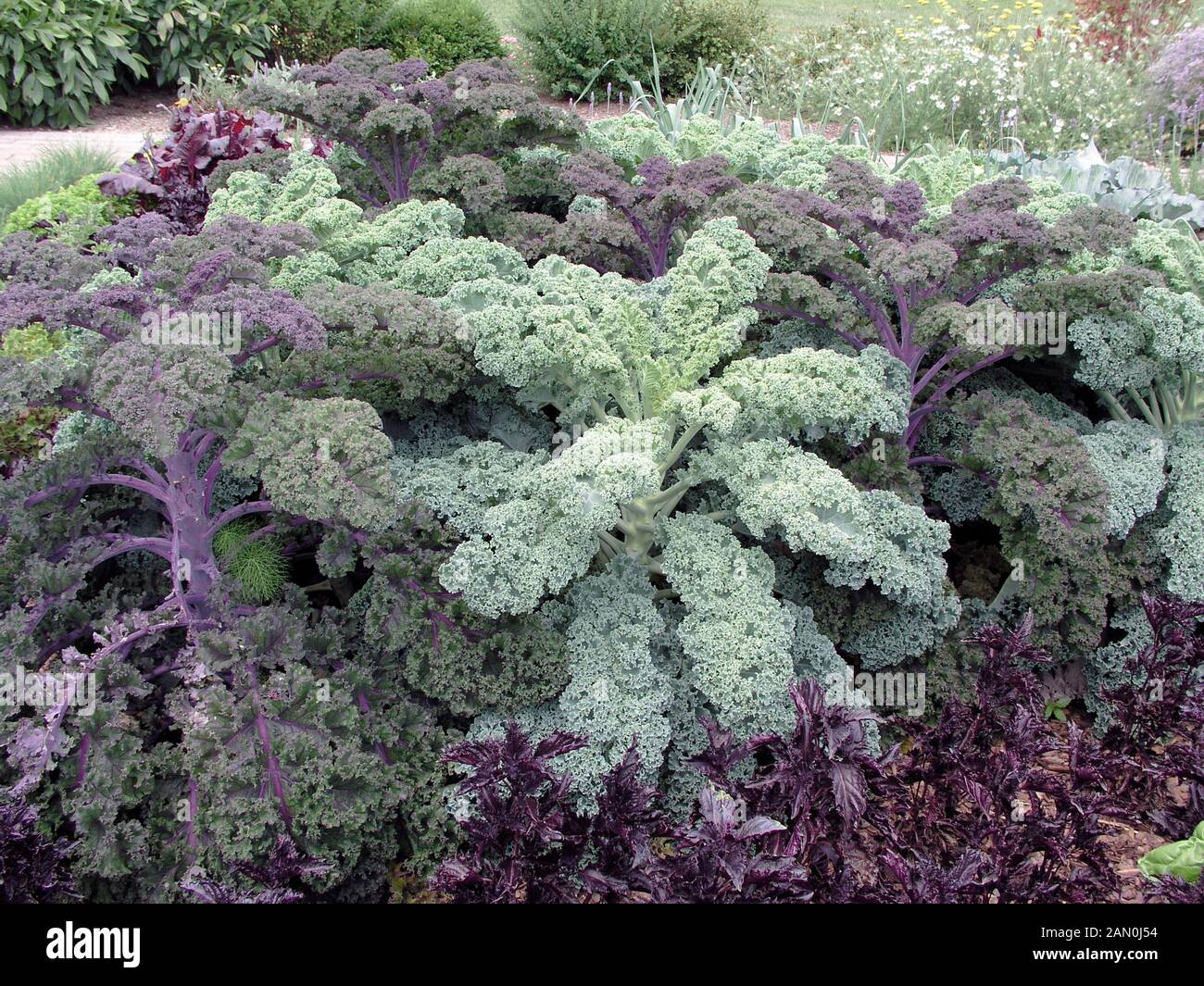 Winterbor hi-res stock photography and images - Alamy