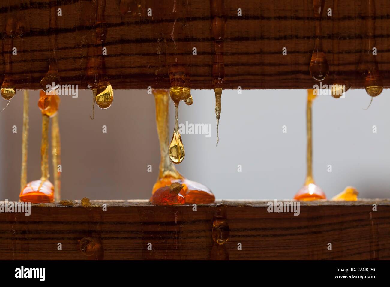 Gum rosin hi-res stock photography and images - Alamy