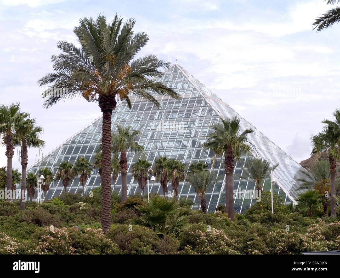 Moody gardens pyramid hi-res stock photography and images - Alamy