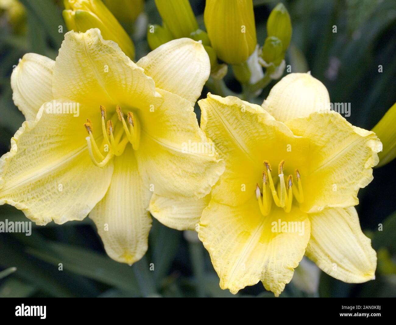 Happy returns hi-res stock photography and images - Alamy