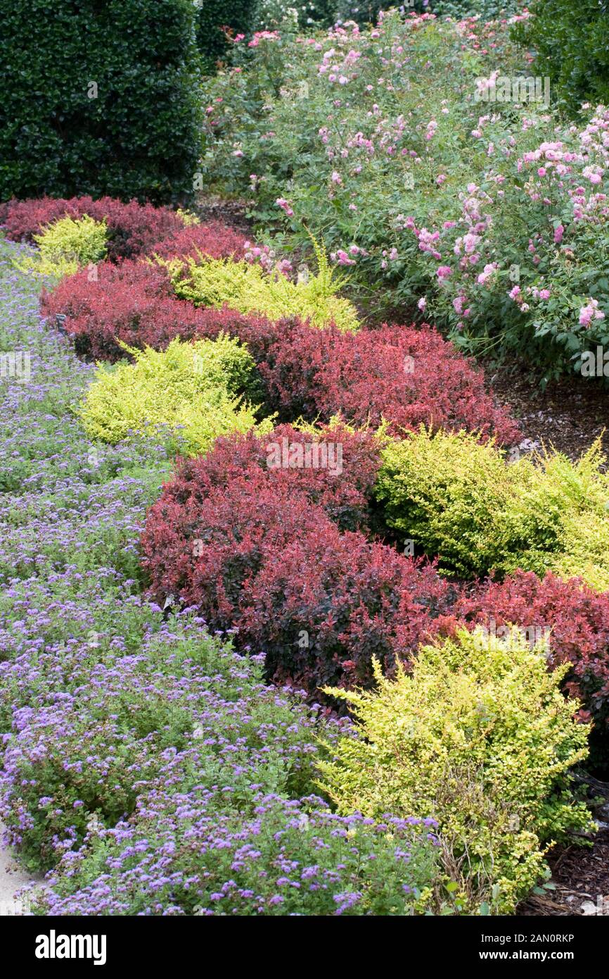 Contrast planting hi-res stock photography and images - Alamy