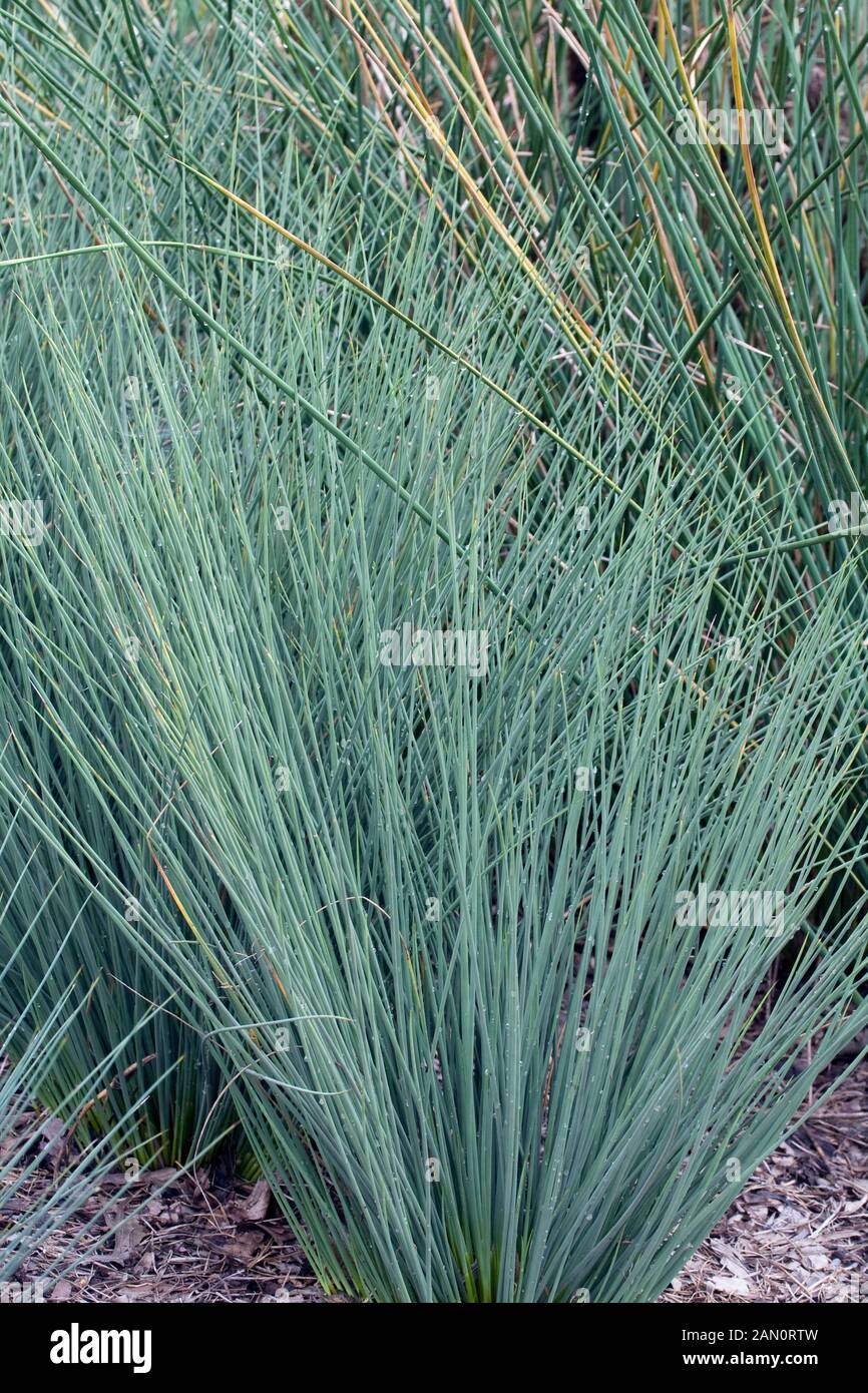 Blue arrows hi-res stock photography and images - Alamy