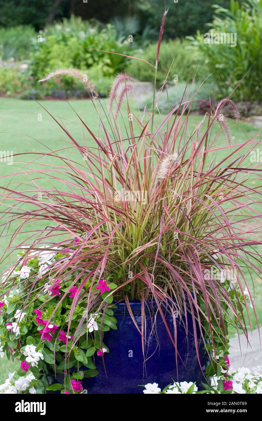 Ornamental fireworks hi-res stock photography and images - Alamy