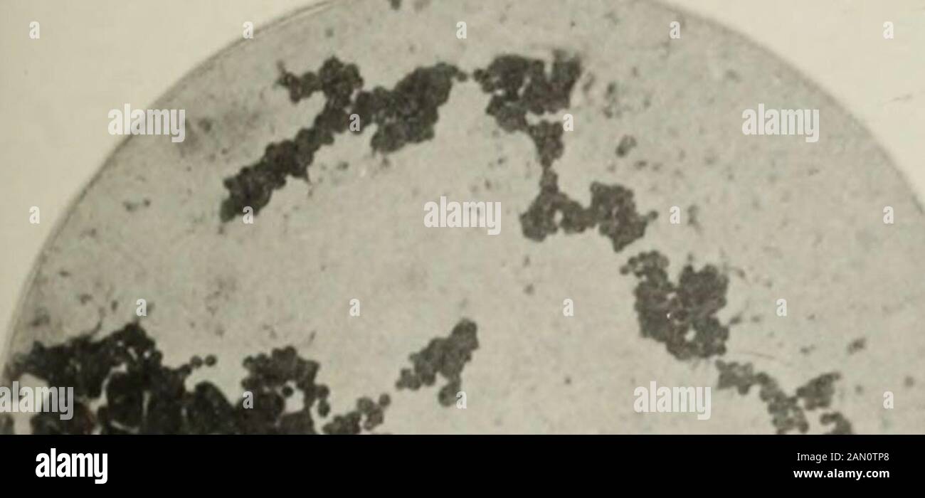 Transactions of the odontological society of Great Britain . Fig. 2 ...