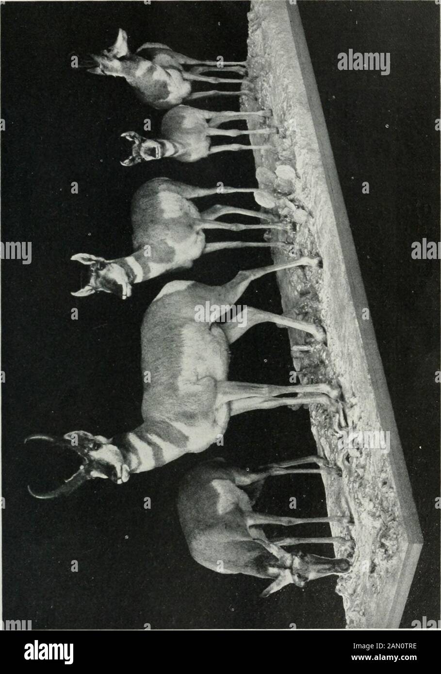 Thecore hi-res stock photography and images - Alamy