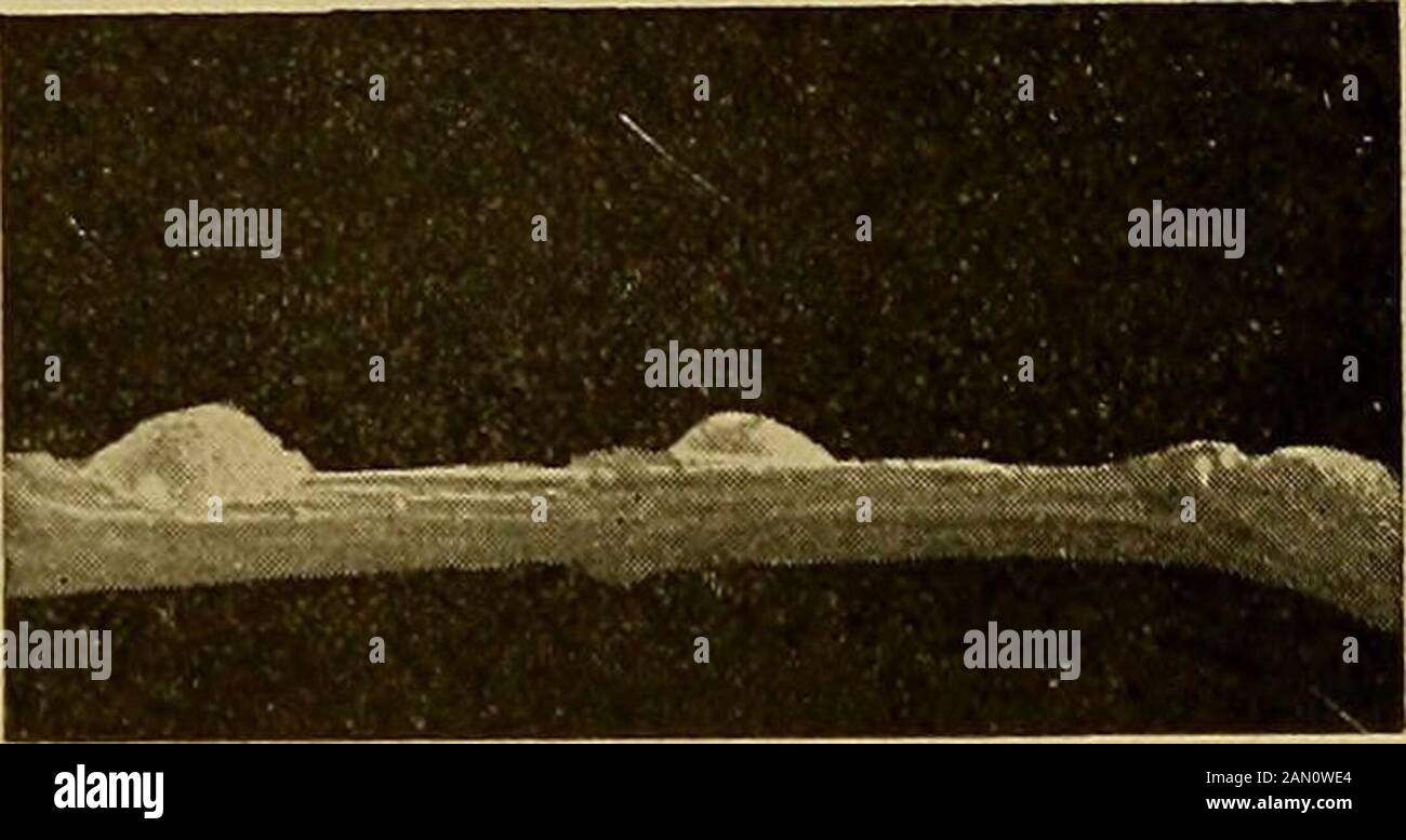 The California fruits and how to grow them; . x, covered with dense ...