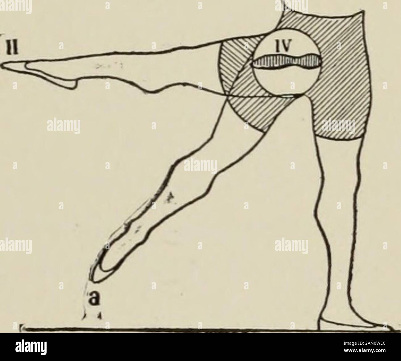 The antique Greek dance, after sculptured and painted figures . ARATORY ...