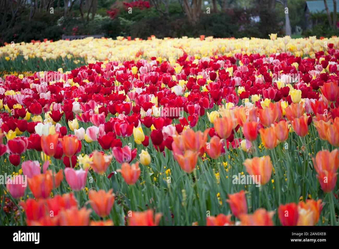 Planting mix hi-res stock photography and images - Alamy