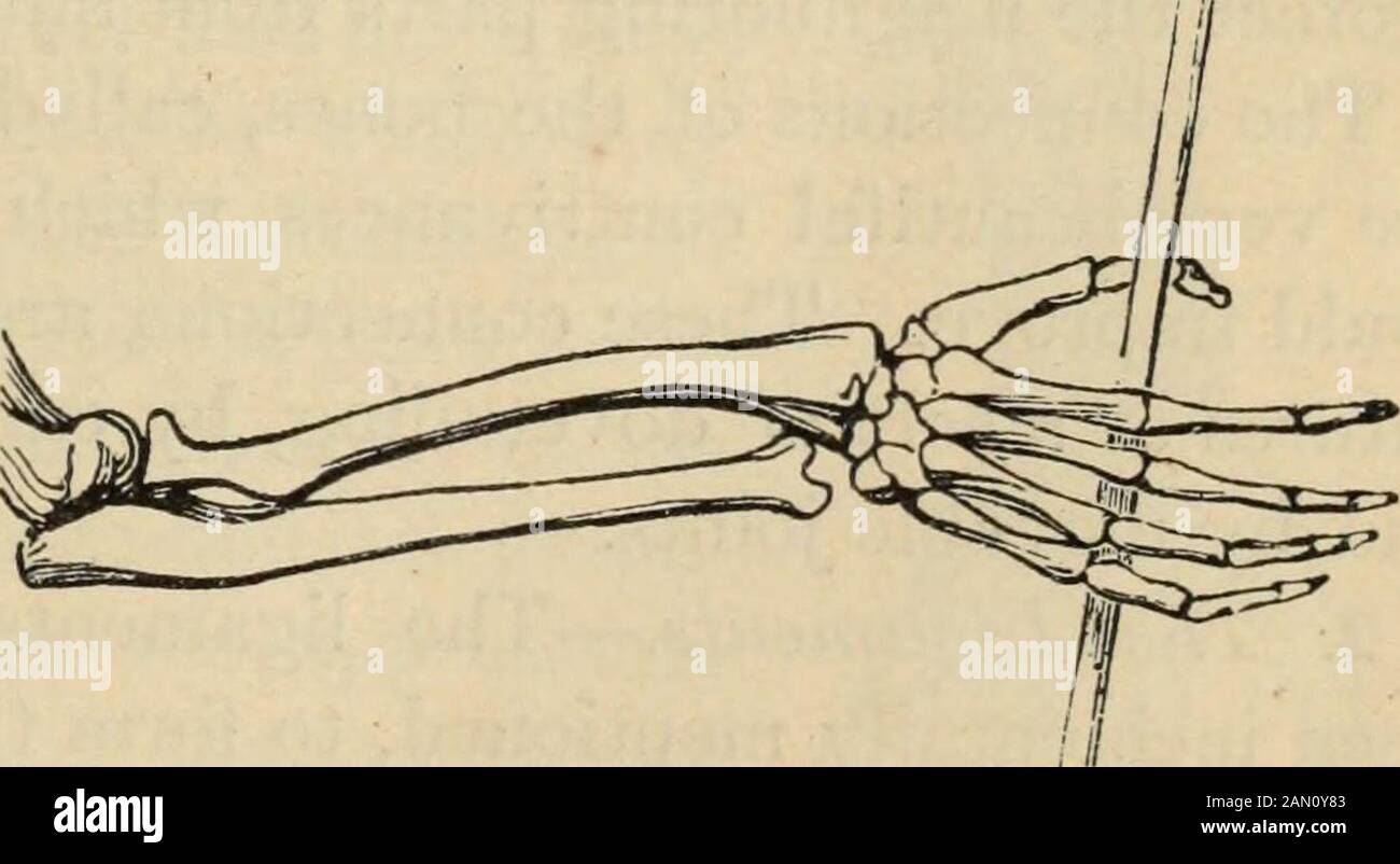New Physiognomy : or signs of character, as manifested through ...