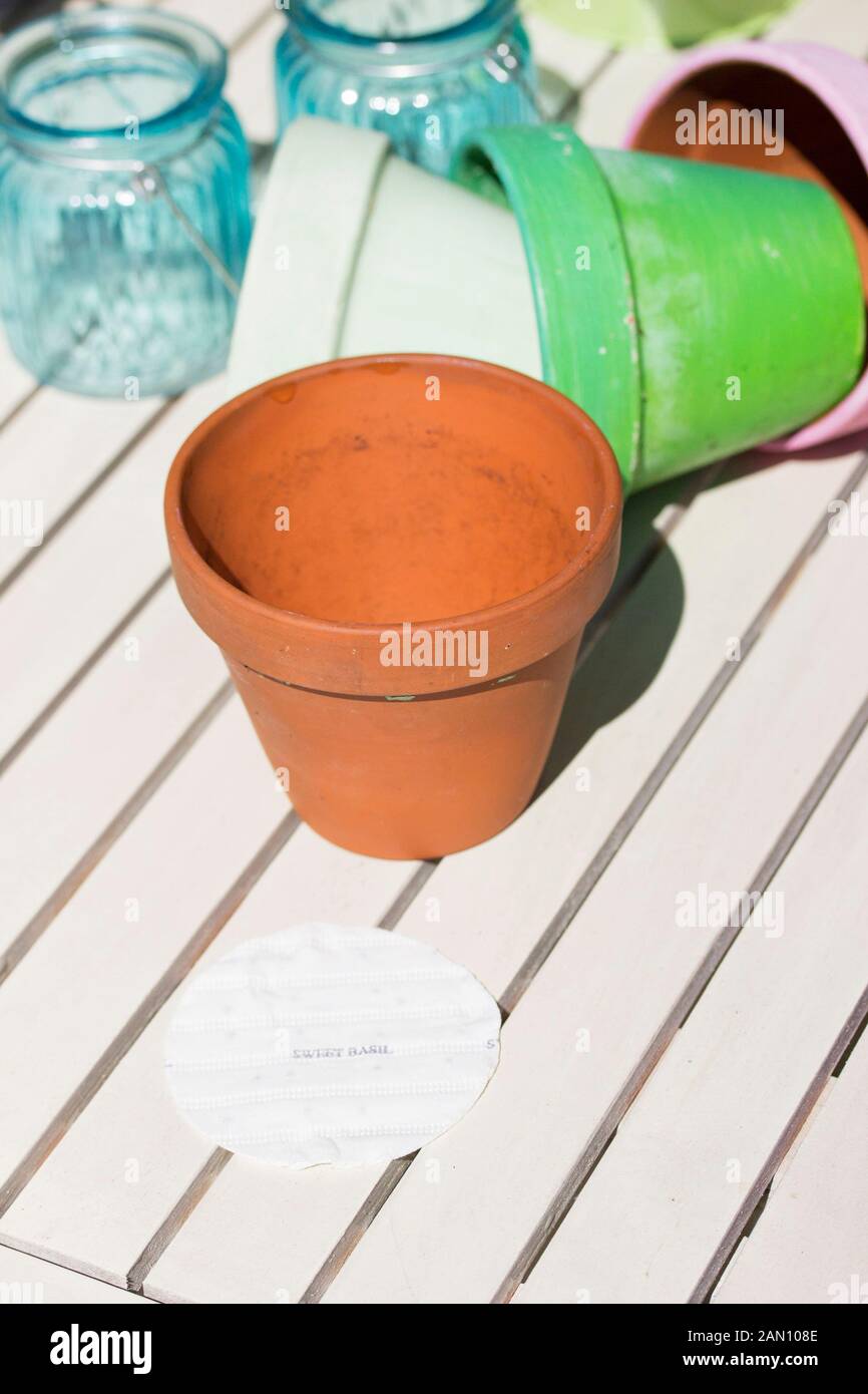 Seed disc hi-res stock photography and images - Alamy