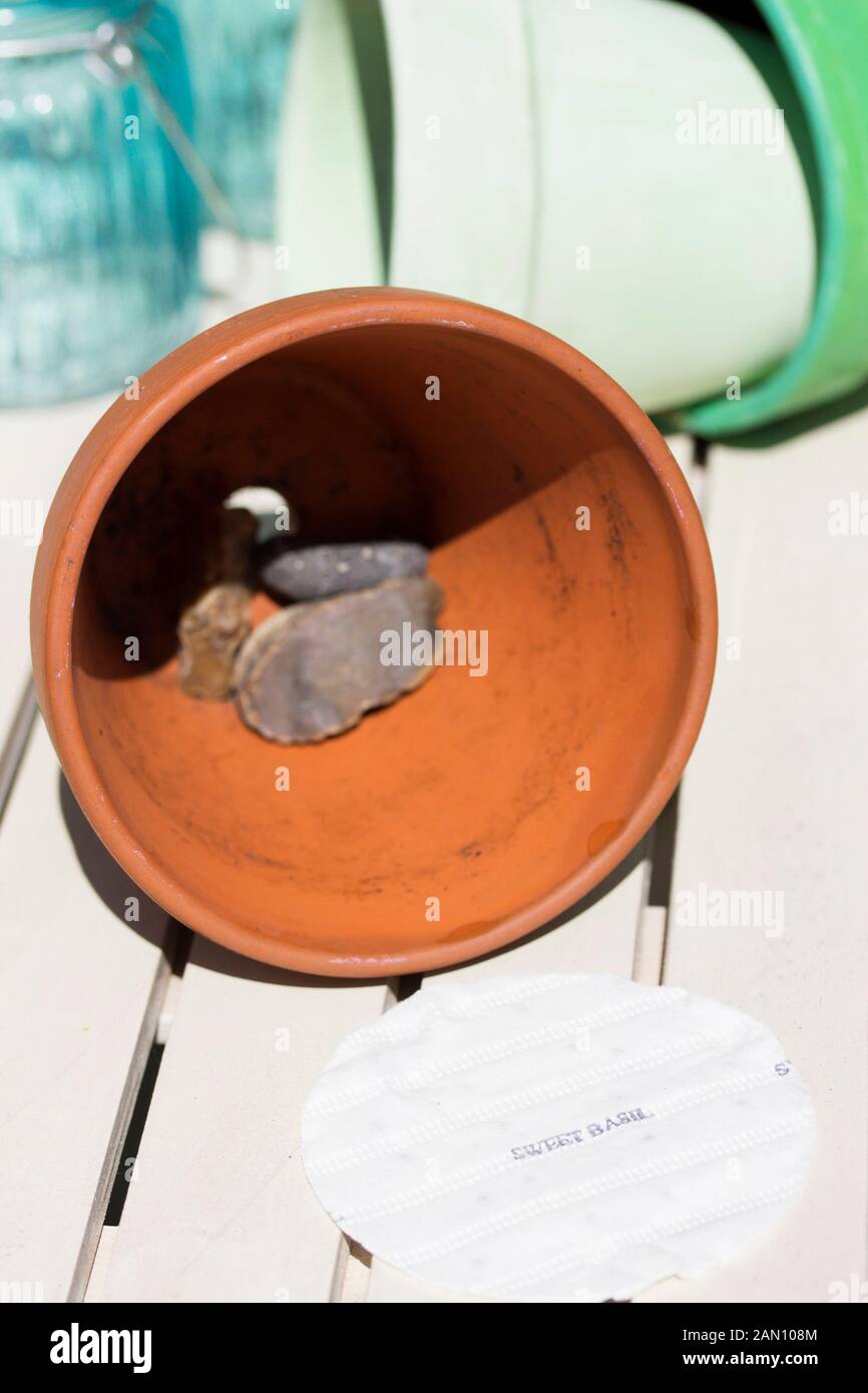 Sowing seed containers hi-res stock photography and images - Alamy