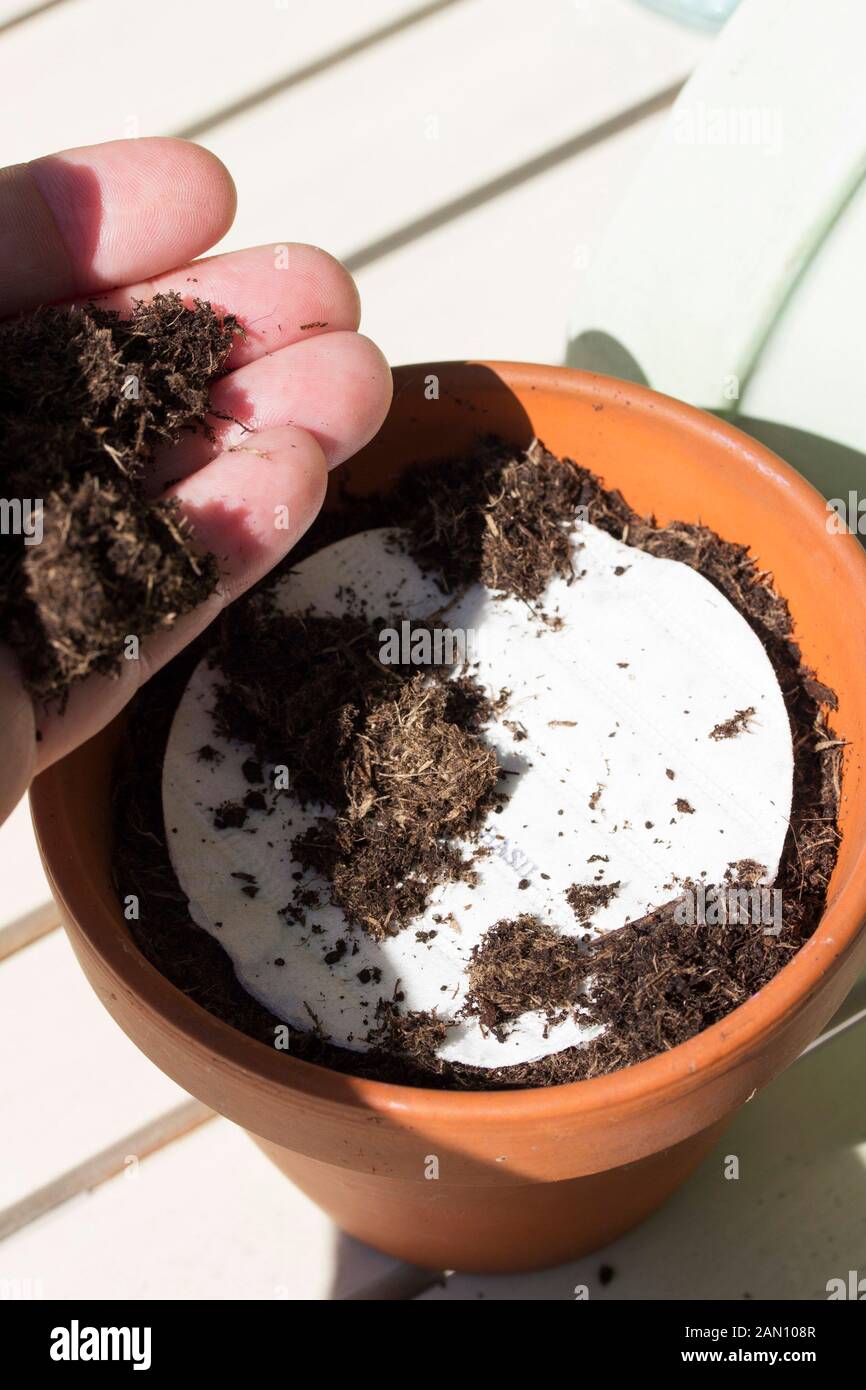 Seed compost pot hi-res stock photography and images - Alamy
