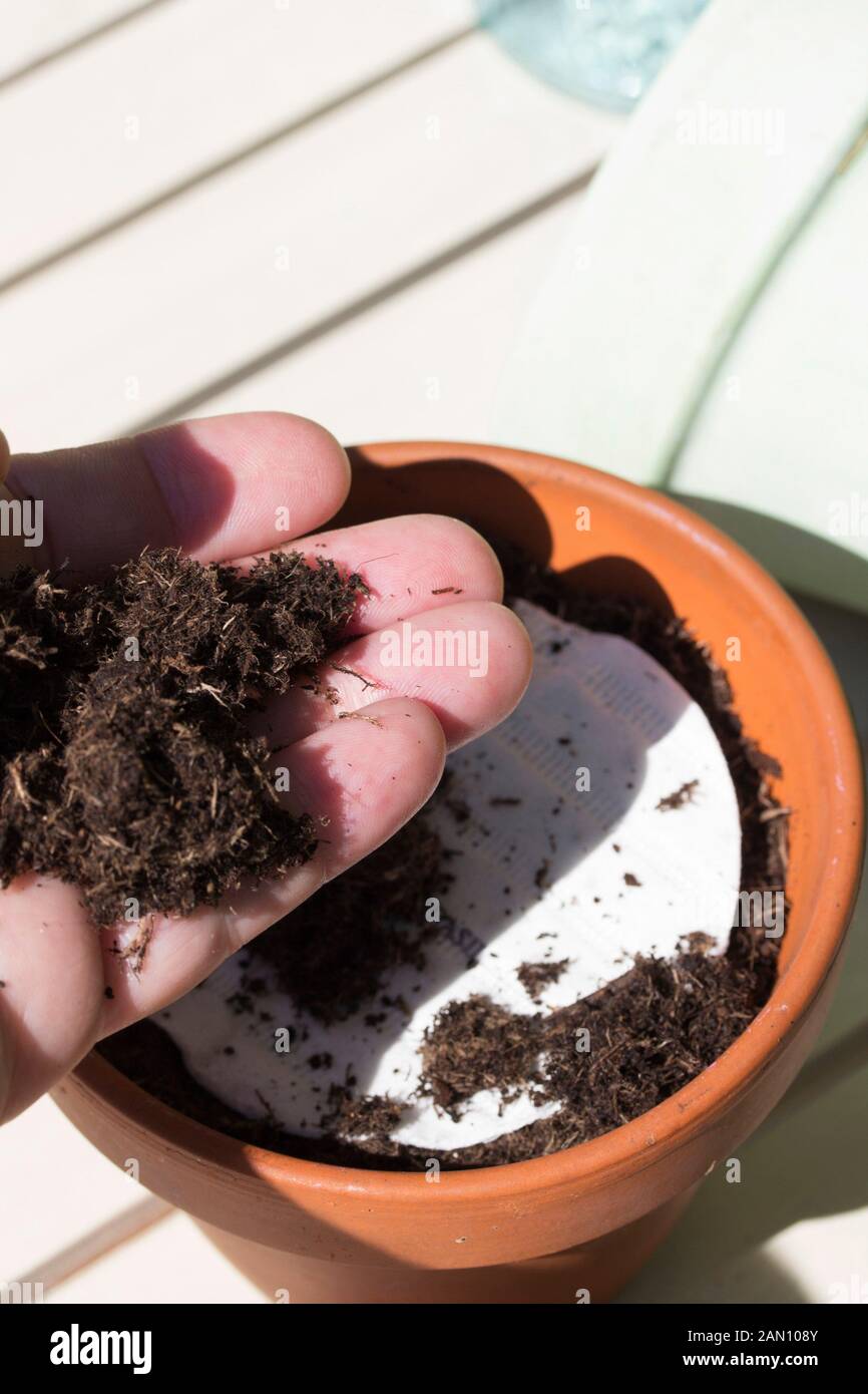 Seed compost pot hi-res stock photography and images - Alamy