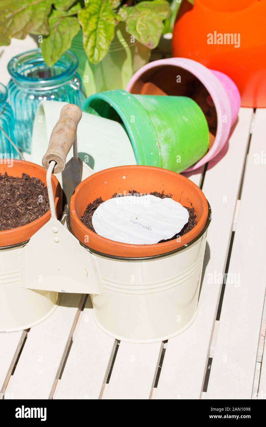 Seed disc hi-res stock photography and images - Alamy