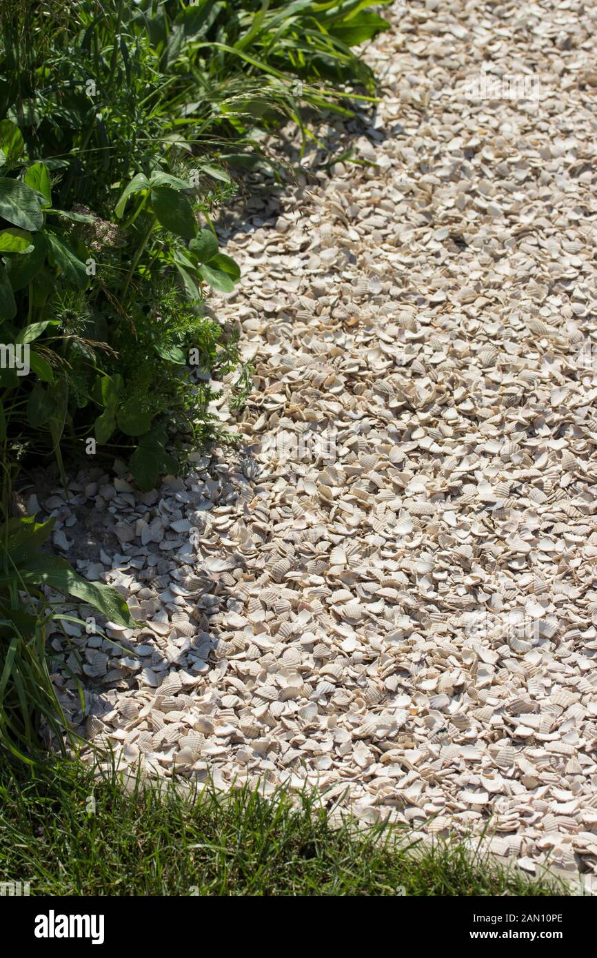 Shells used as mulch hi-res stock photography and images - Alamy