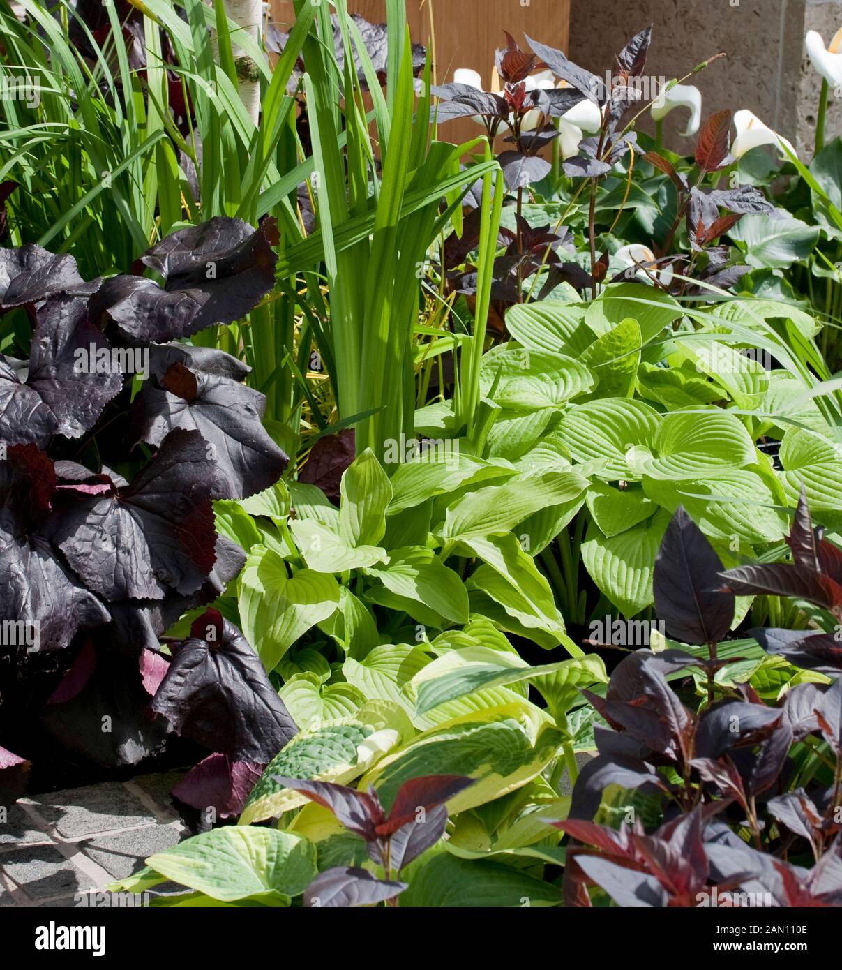 Contrast planting hi-res stock photography and images - Alamy