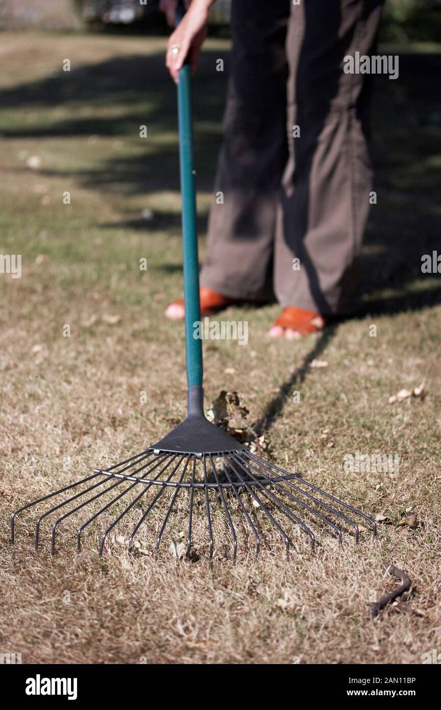 Lawn care tools hi-res stock photography and images - Alamy