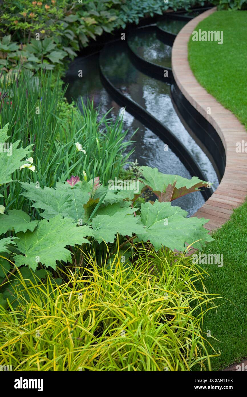 Marie gold flower hi-res stock photography and images - Alamy