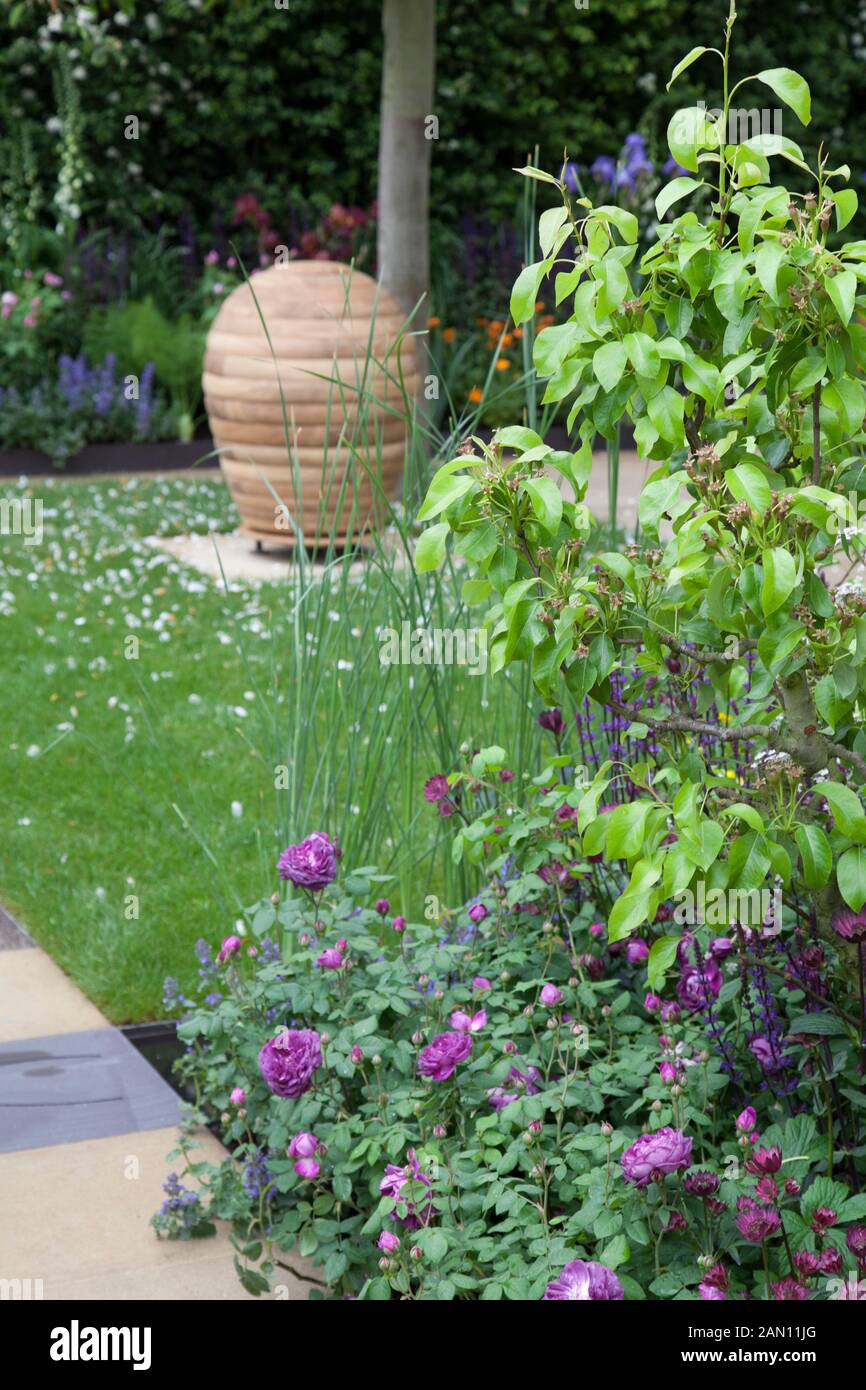 RHS CHELSEA FLOWER SHOW 2013 THE HOMEBASE GARDEN SOWING THE SEEDS OF ...