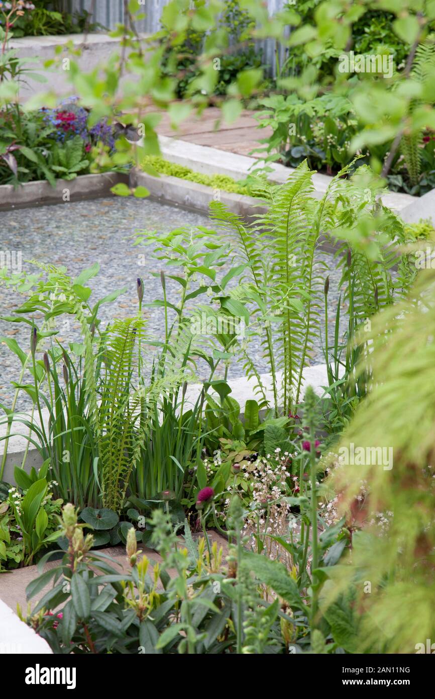 Kate drain hi-res stock photography and images - Alamy