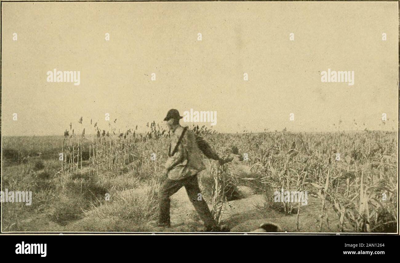 Pan handle oklahoma hi-res stock photography and images - Alamy