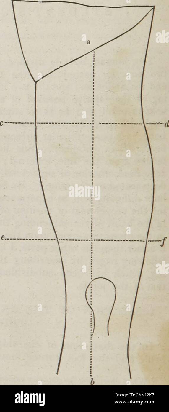 The dissector's guide, or, Student's companion : illustrated by ...
