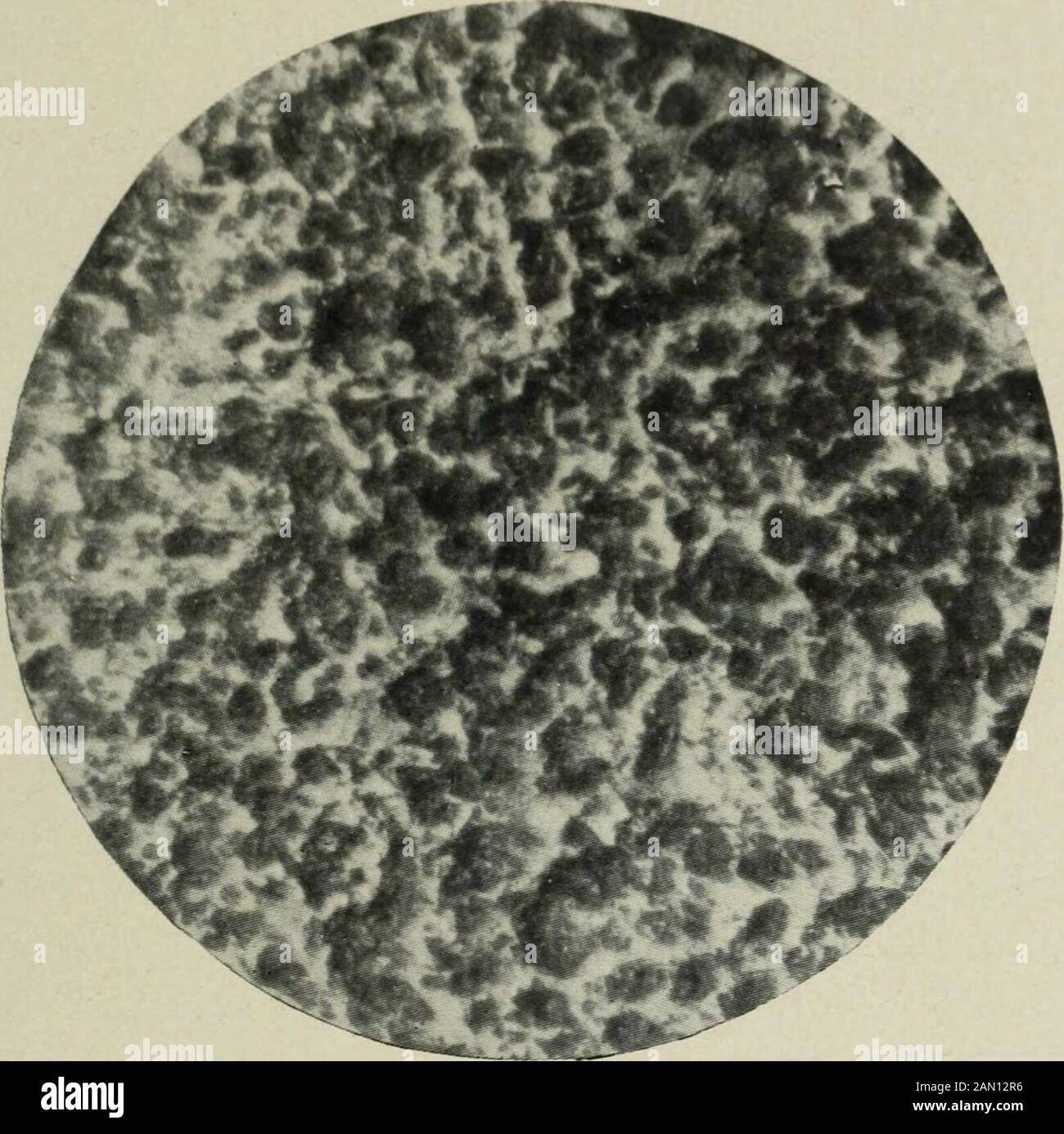 1 liter water hi-res stock photography and images - Alamy