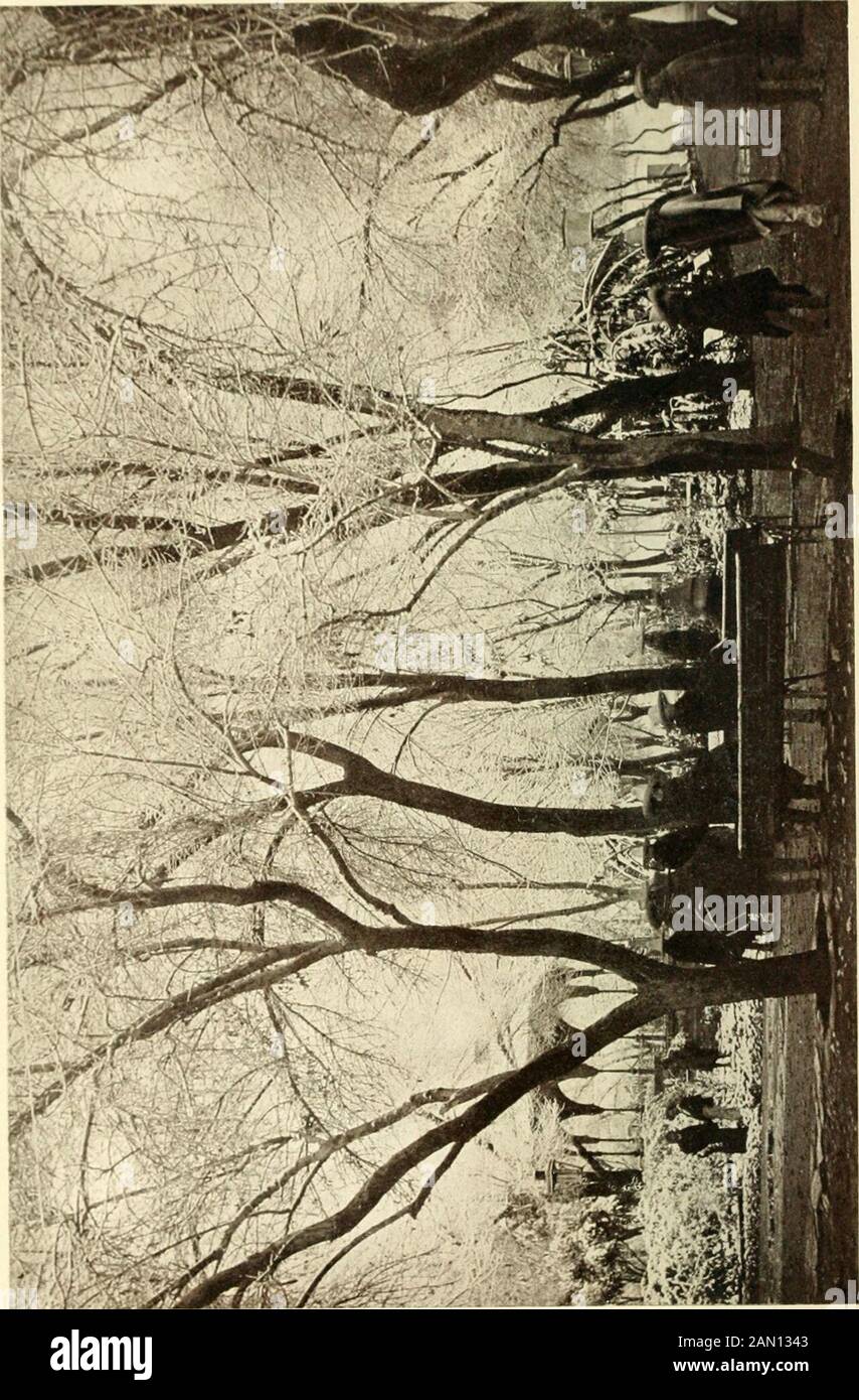 Nazas river mexico hi-res stock photography and images - Alamy