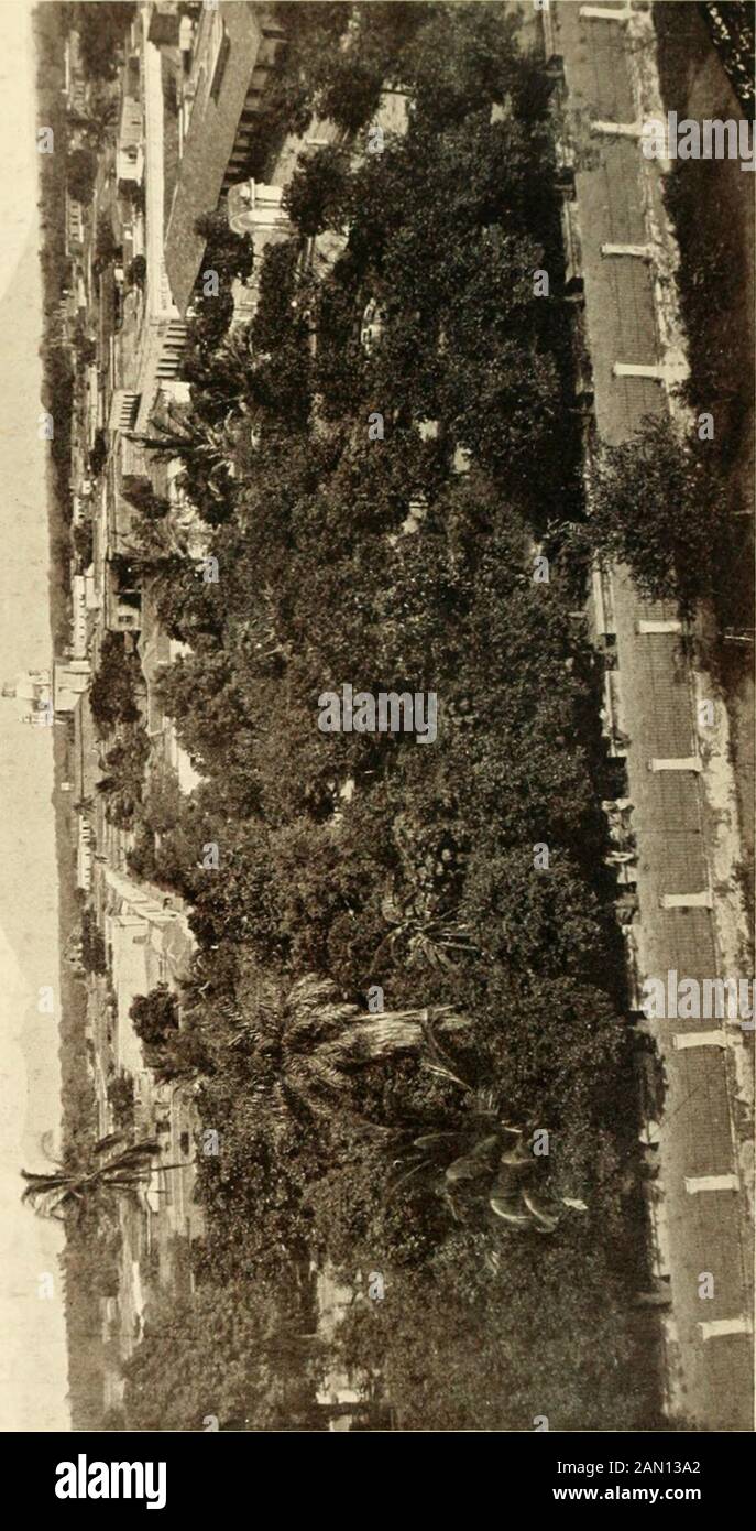 Torrid zone hi-res stock photography and images - Alamy