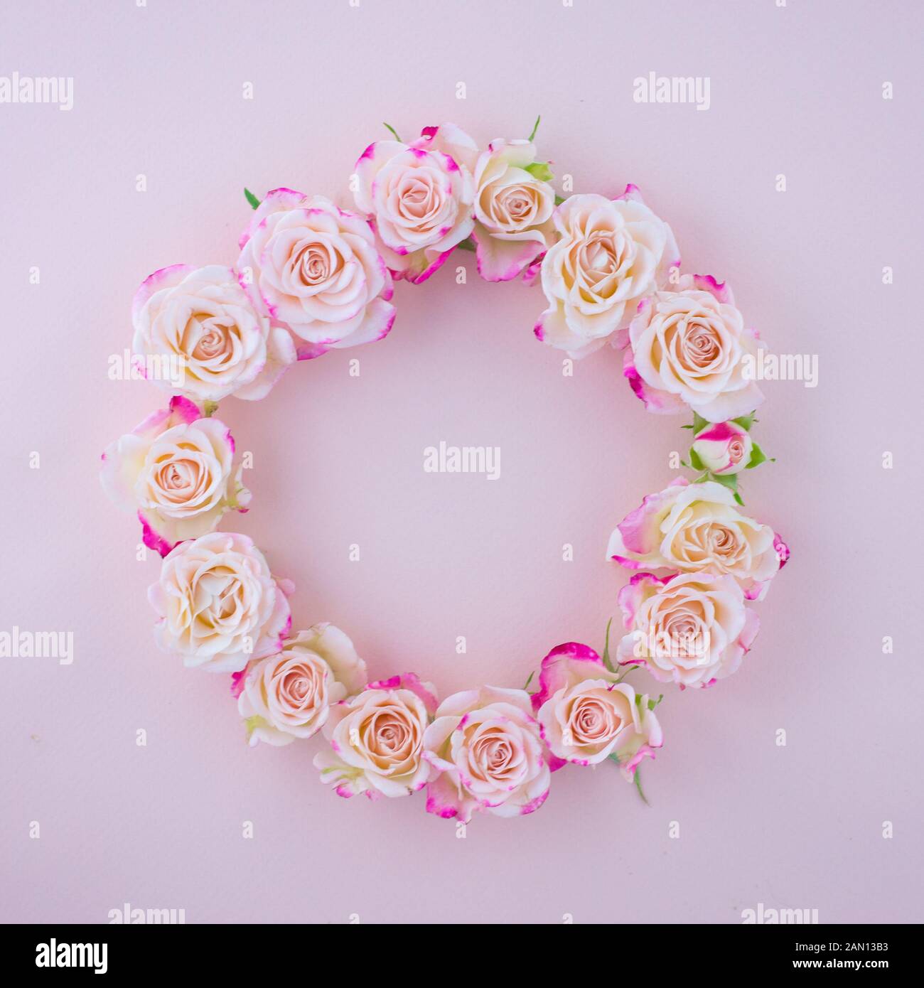 Pink roses flower border and frame for valentine background and wedding ...