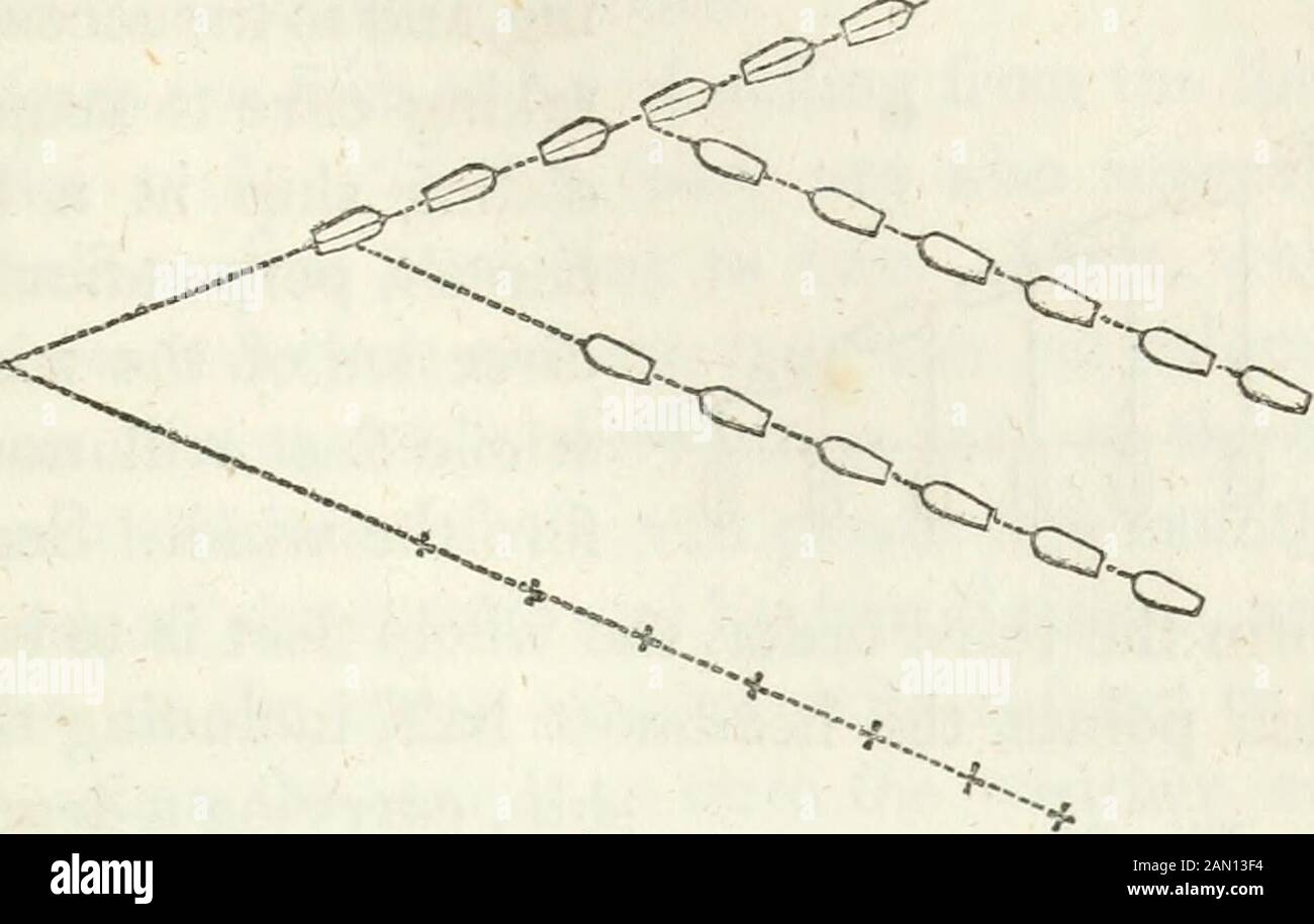 The army and navy of America : containing a full view of the heroic ...
