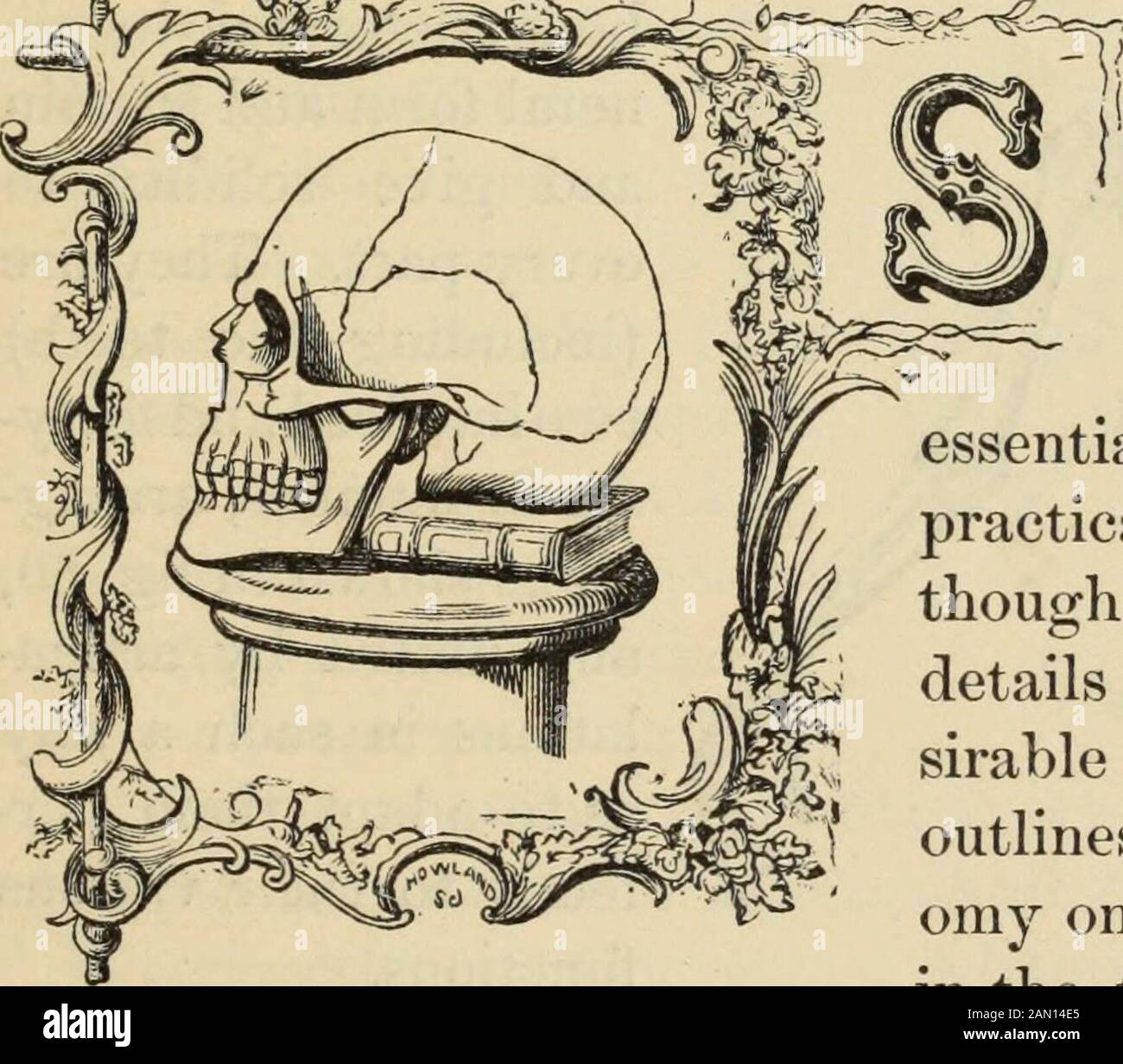 Mechanism of human physiognomy hi-res stock photography and images - Alamy
