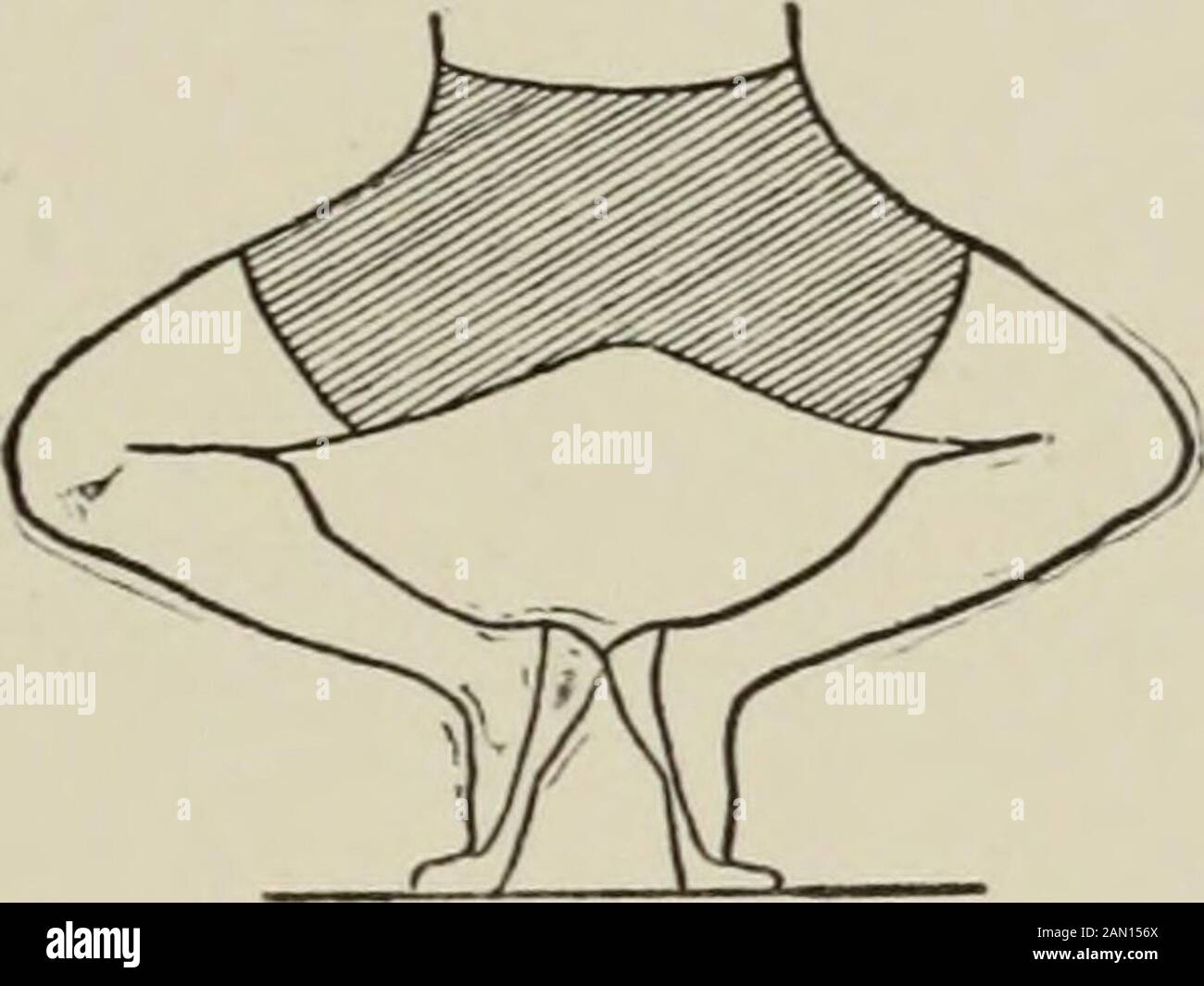 The antique Greek dance, after sculptured and painted figures . Fig ...