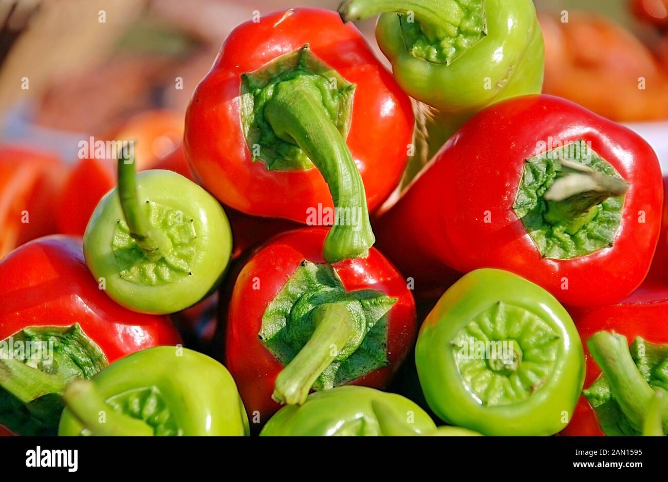 Large Red and Green Organic pointy Peppers on display at a market Stock ...