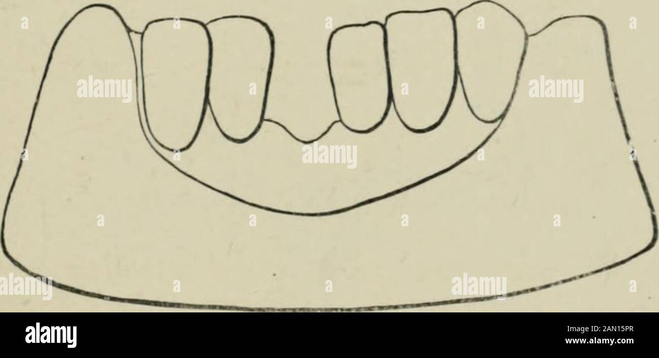 Transactions of the odontological society of Great Britain . ing of the ...