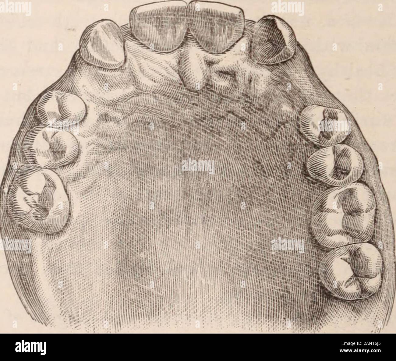 Tubular socket hi-res stock photography and images - Alamy