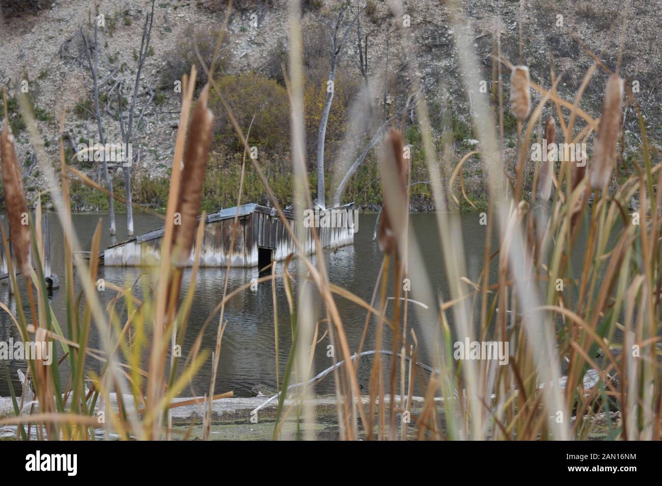 Flood shed hi-res stock photography and images - Alamy
